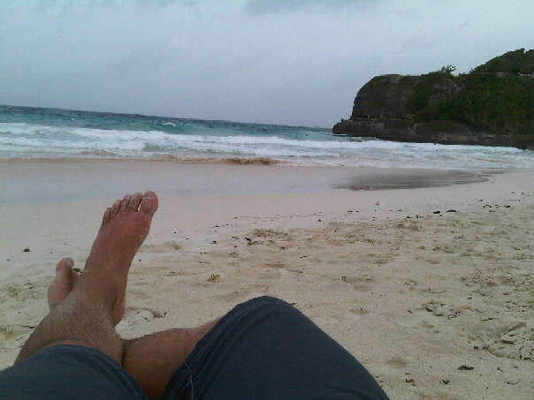 Barefoot Celebrities | Murray Newlands